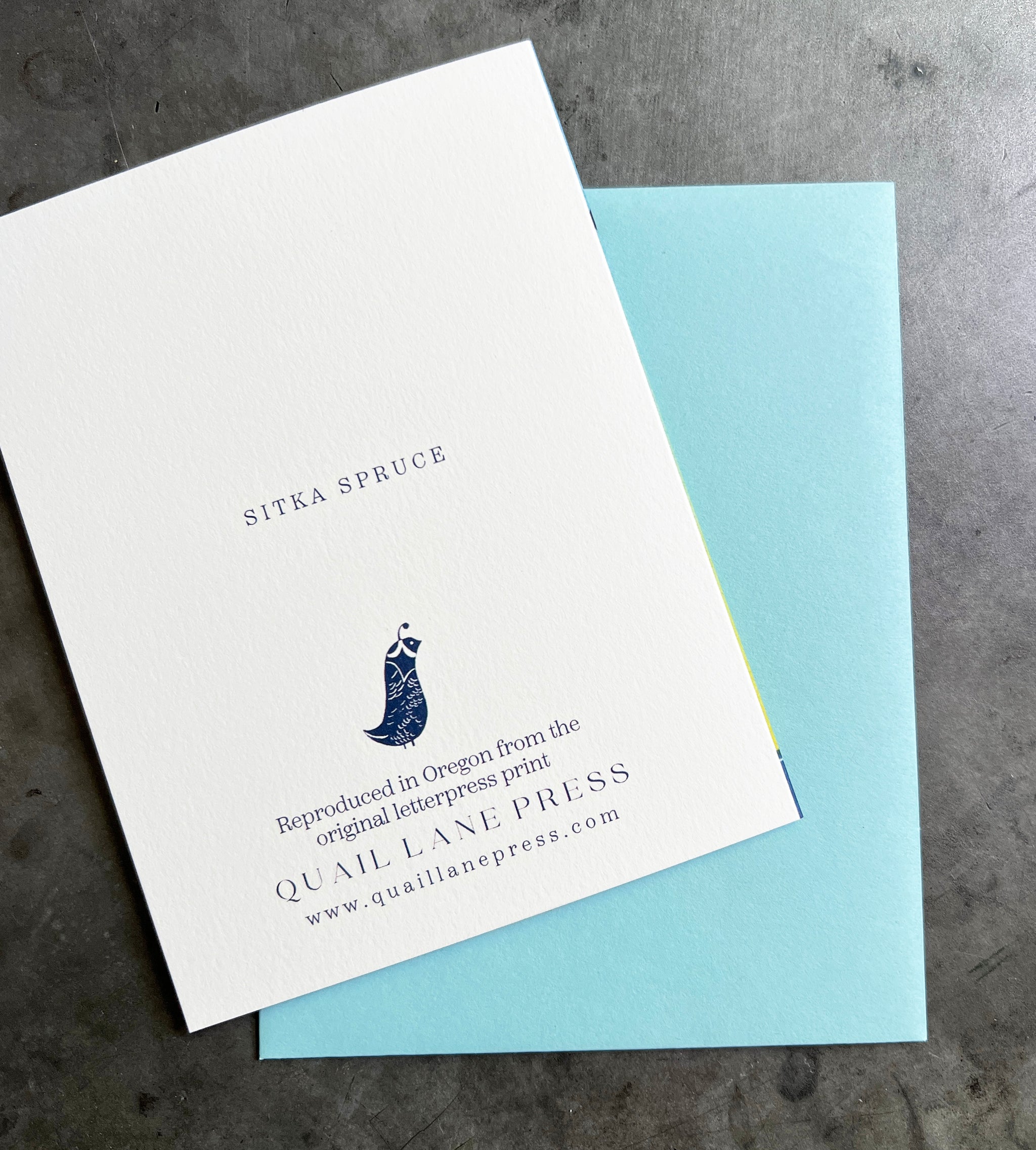 Sitka Spruce Card – Quail Lane Press